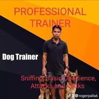 Cebu DOG trainor | Dog Obedience Training SPECIALIST | cebu-city ...